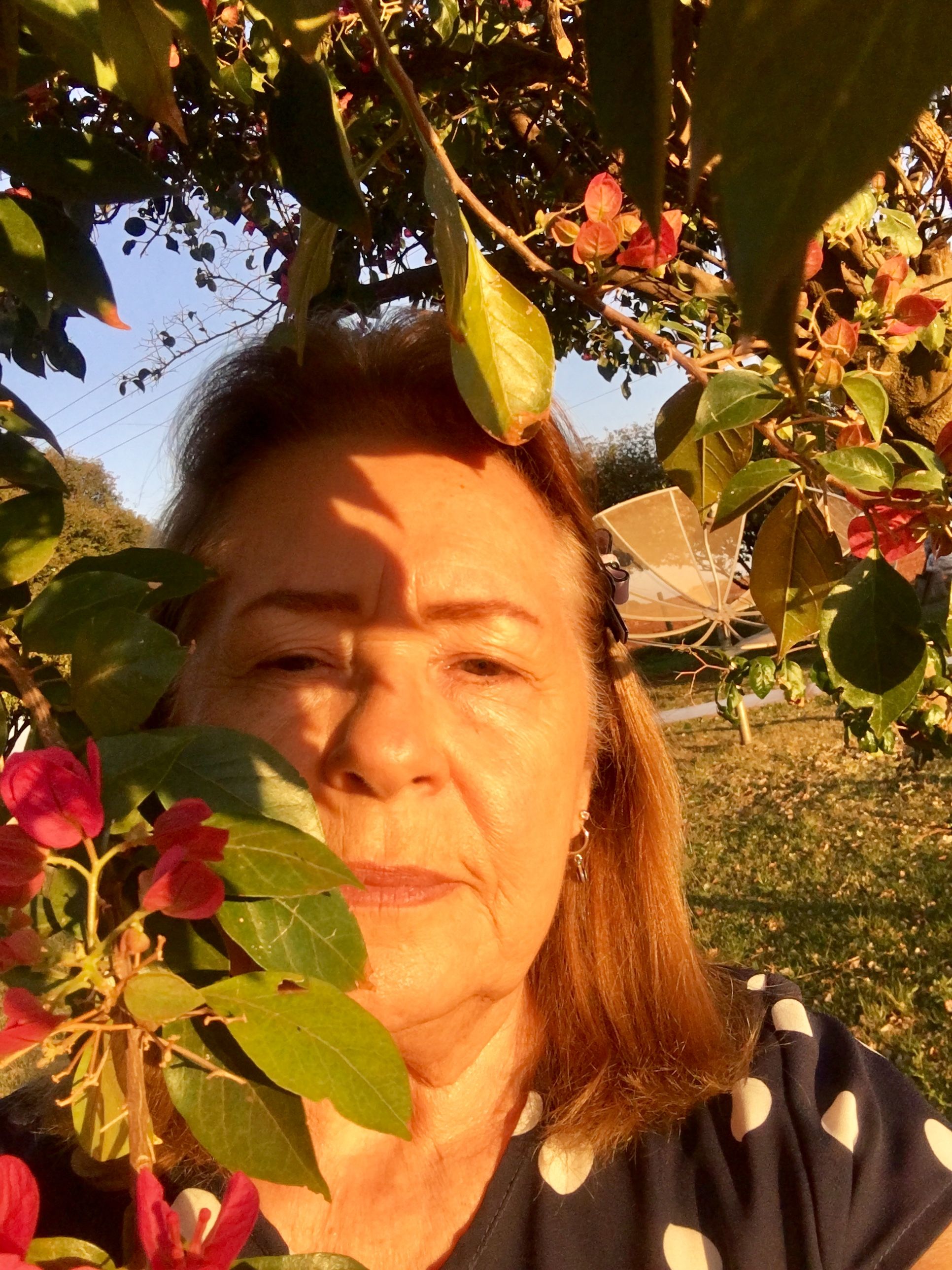 Videos De Velho Com Novinha Discover
