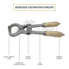 castration is love | Topic