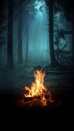 freeofz videos | Topic