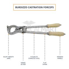 castration is love | Topic